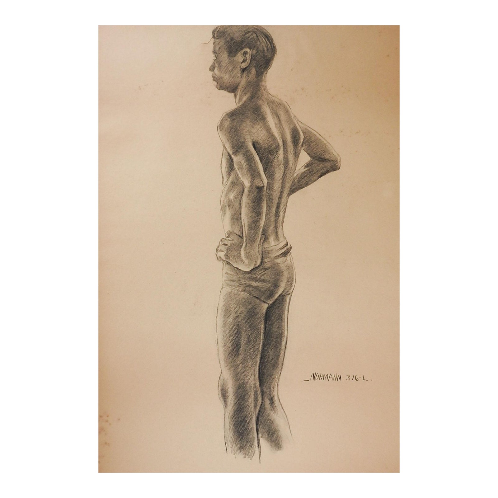 Vintage 1950s Charles Normann Male Charcoal Drawing Chairish