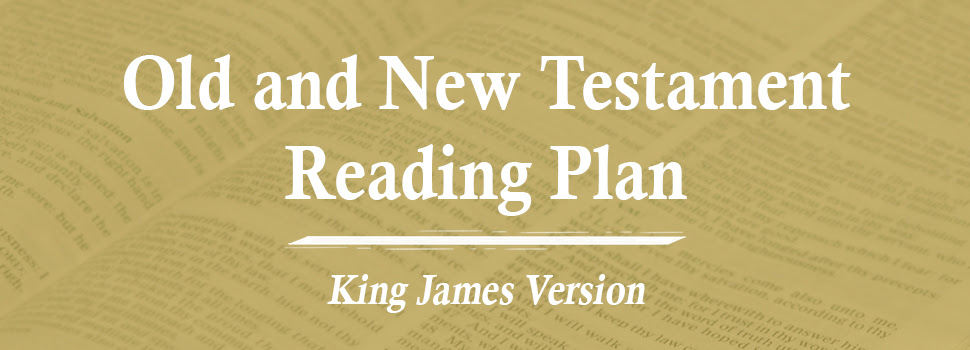 Old And New Testament Reading Plan Kjv November 14 2021