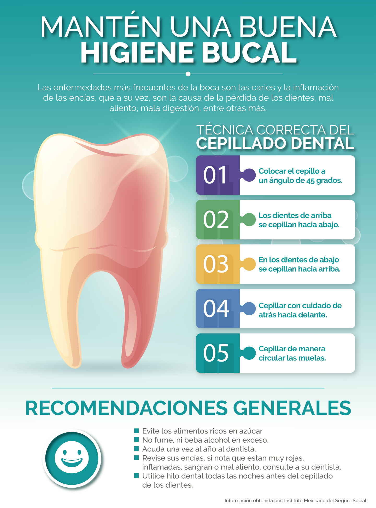 Consejos Para Mantener Una Correcta Higiene Bucal Ed Barcelona My Xxx