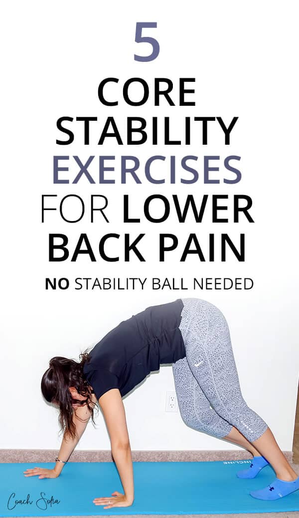 5 Best Back Core Exercises For Lower Back Pain Sciatica Disc Bulges