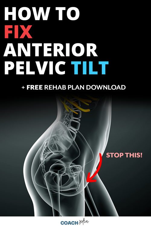 Anterior Pelvic Tilt Stretches