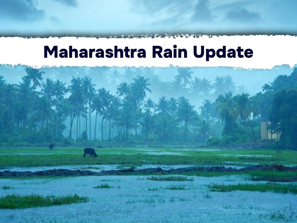 Maharashtra Rain Forecast Imd Issues Yellow Alert For 7 Districts As