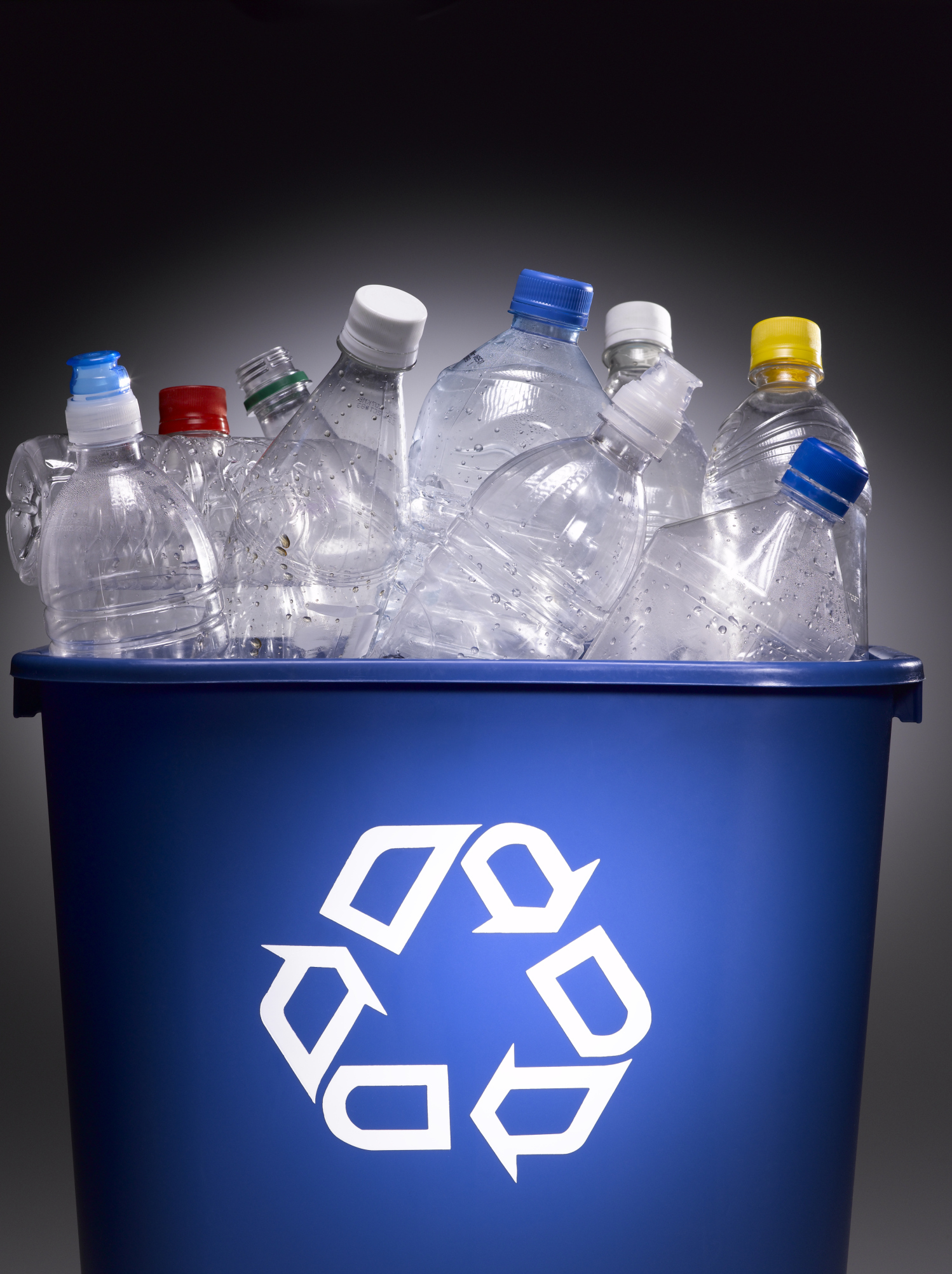 Plastic Bottle Recycling