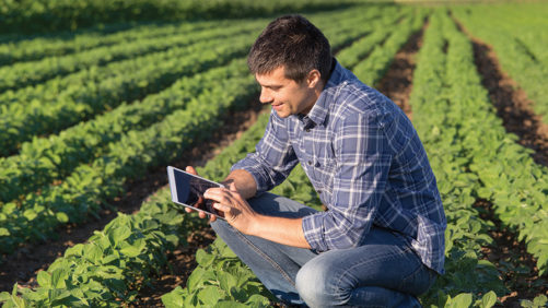 You Have Embraced Precision Agriculture 2019 State Of The Vegetable