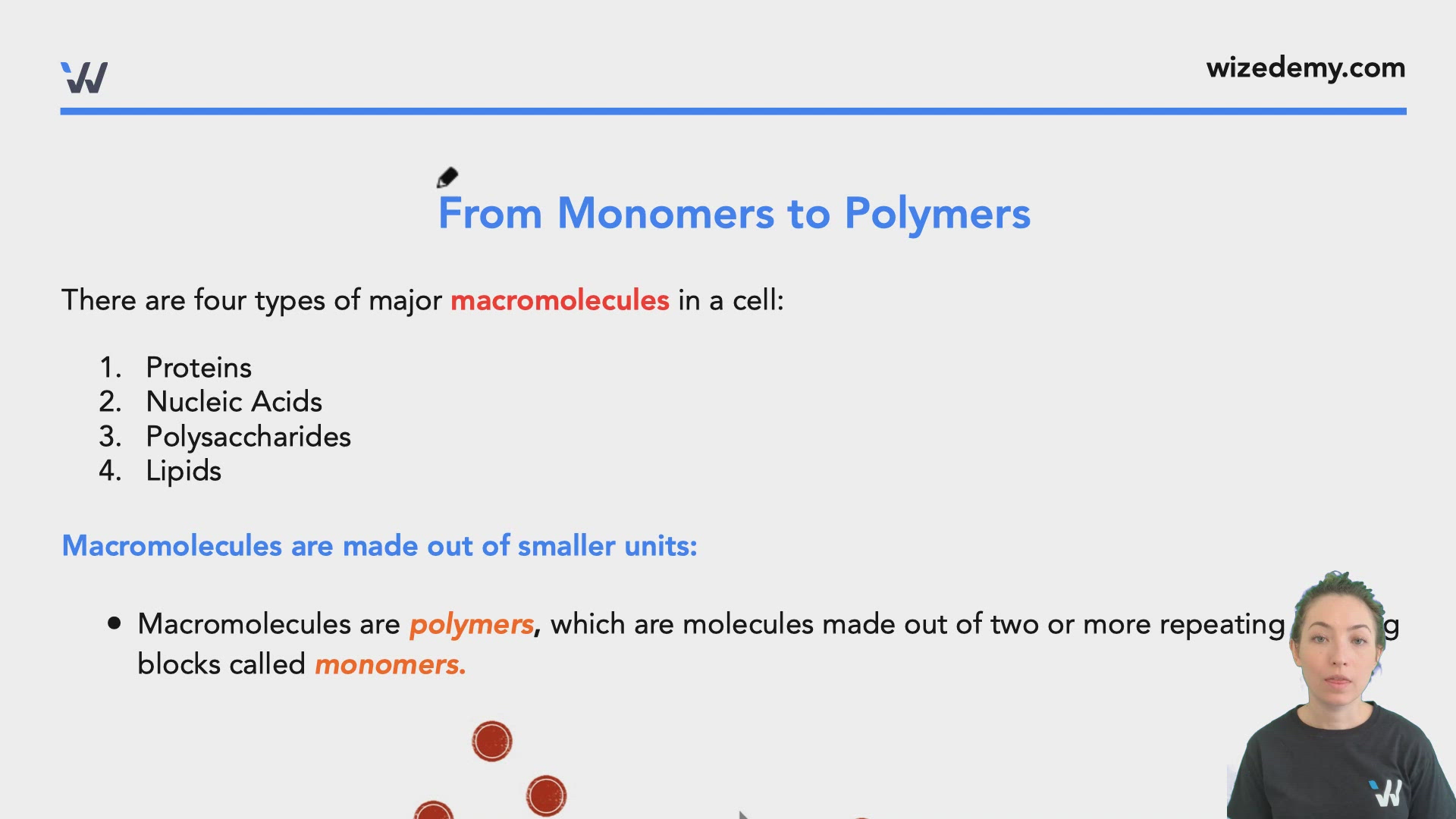 From Monomers To Polymers Wize University Biology Textbook Wizeprep