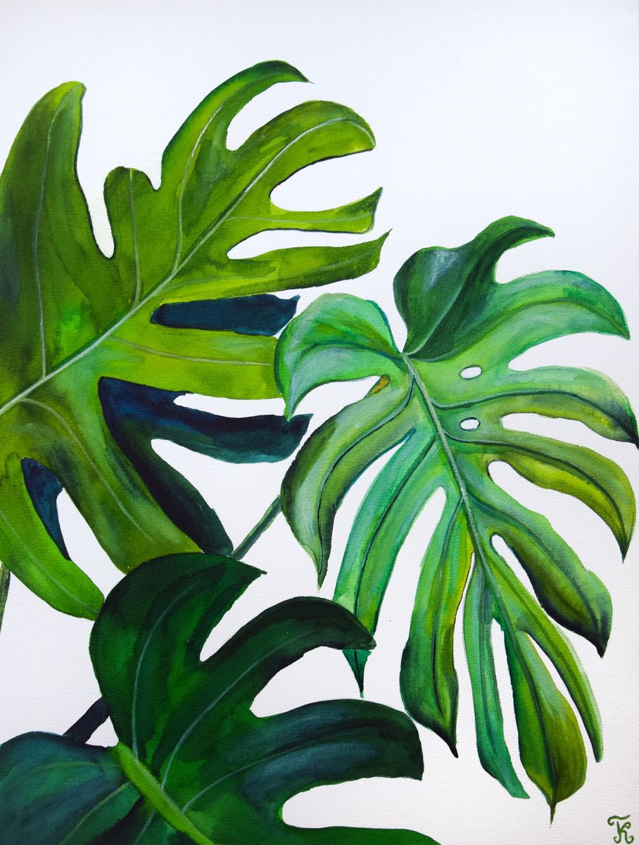 Monstera Leaves Original Watercolor Paintings B Artfinder