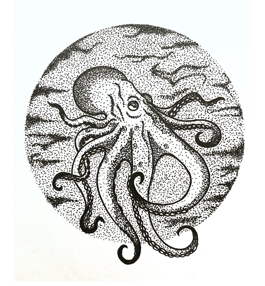 Octopus Ink Drawing By Tina Shyfruk Artfinder