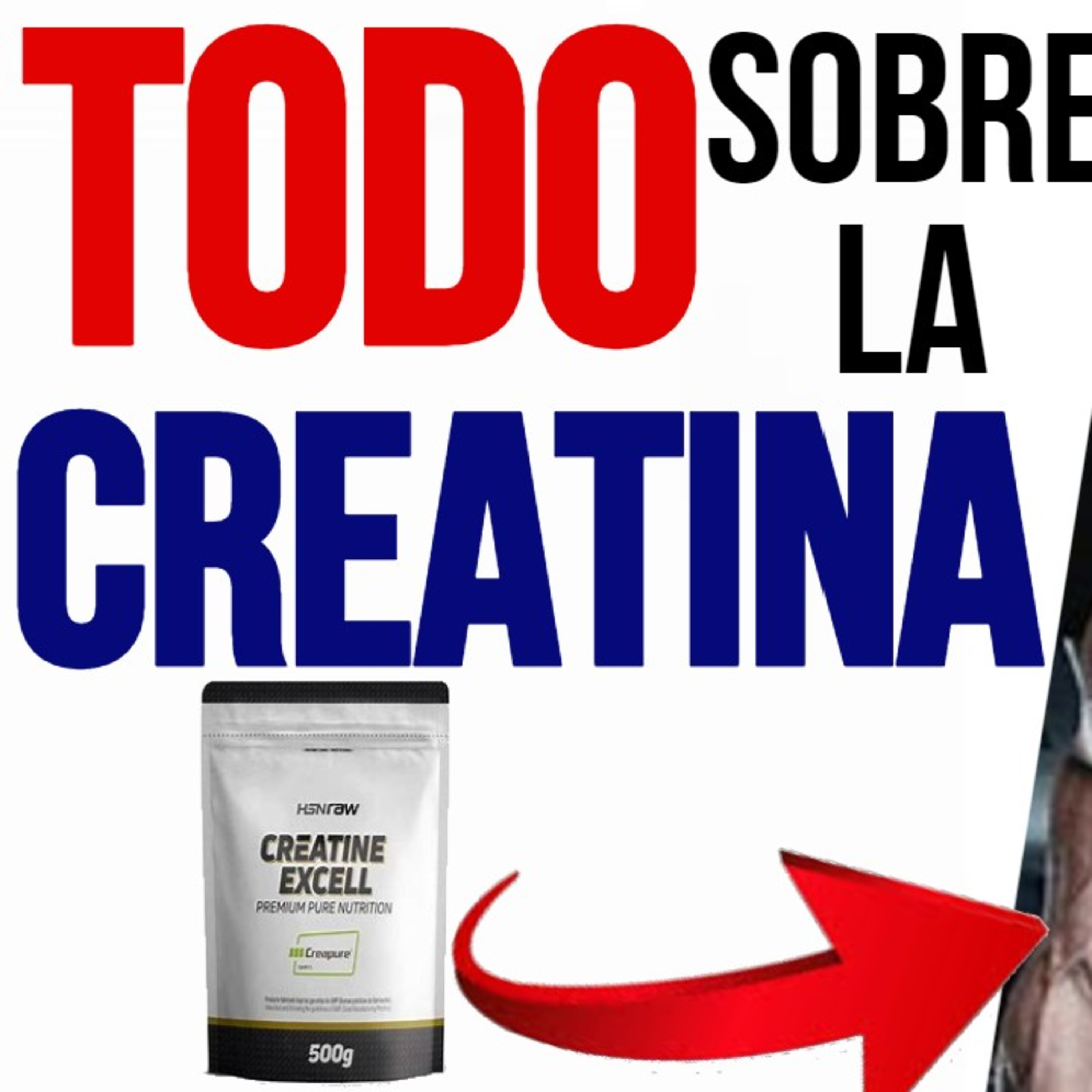 Todo Lo Que Debes Saber Sobre La Creatina Monohidratada Beneficios My