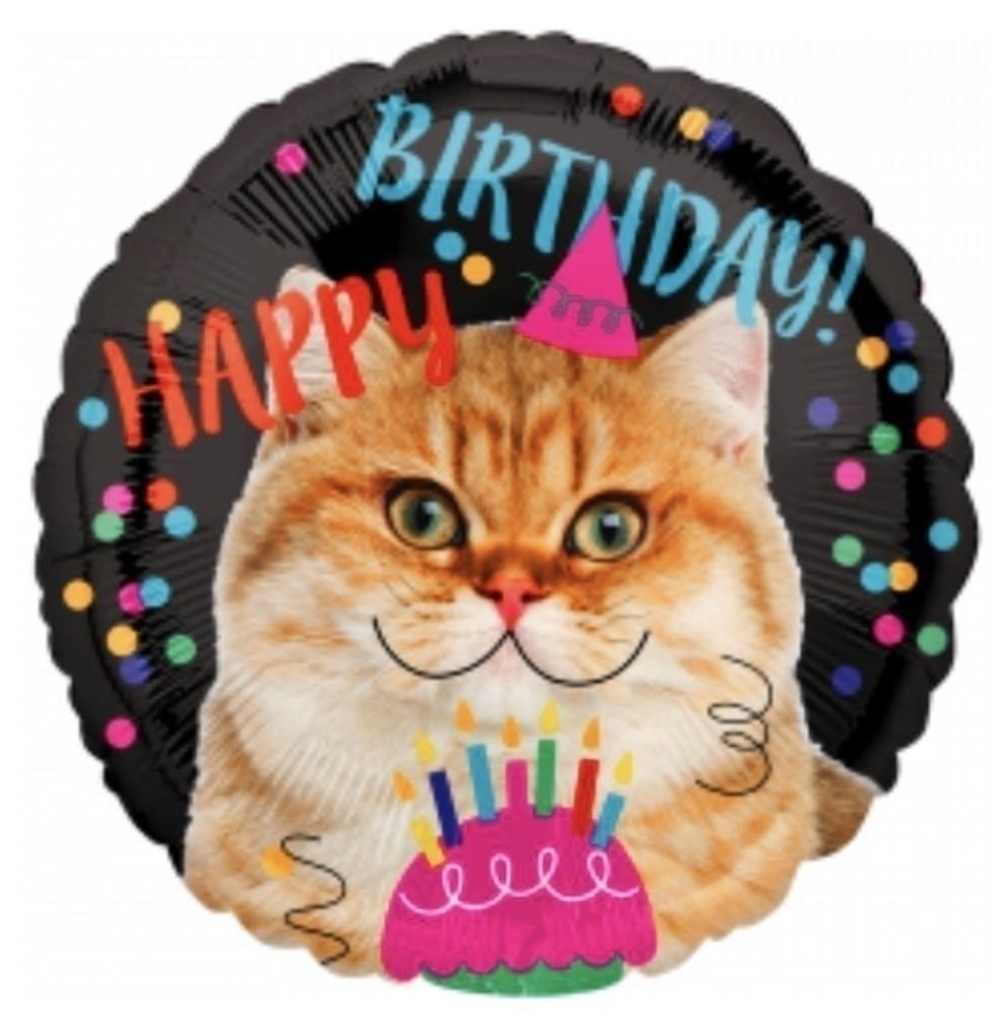 Globo Cat Gato Happy Birthday 18” Anagram