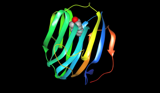 Hormone Binding Proteins The Lecturio Medical Online Library