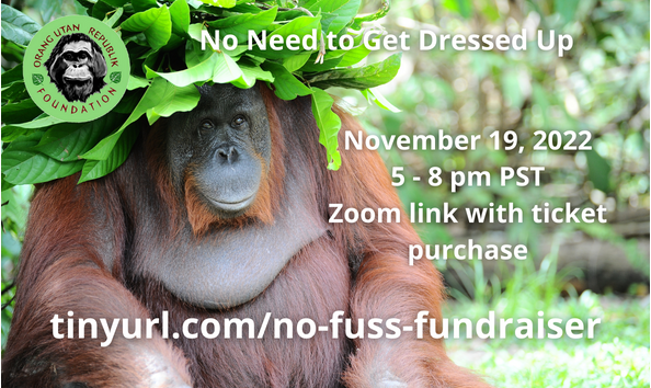 Orang Utan Republik Foundations 2022 No Fuss Fundraiser