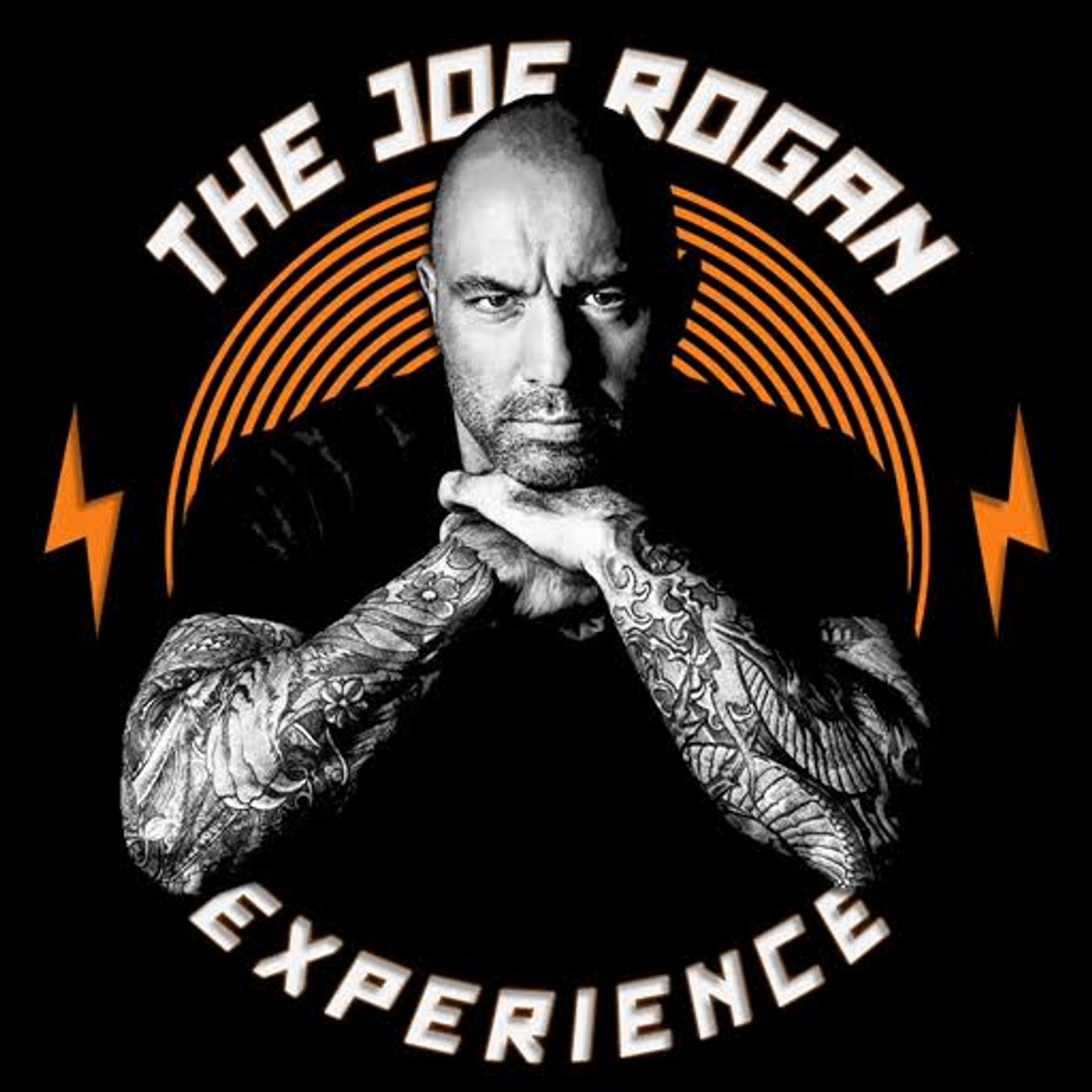 Best The Joe Rogan Experience Podcasts Of 2019