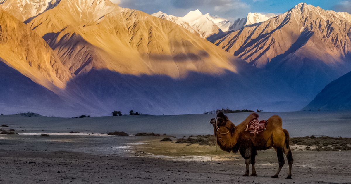 15 Day Nubra Valley Trekking Tour Ladakh India 10adventures