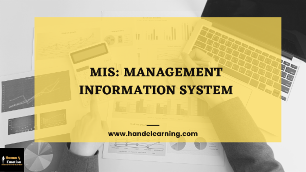 Mis Management Information System Online Course