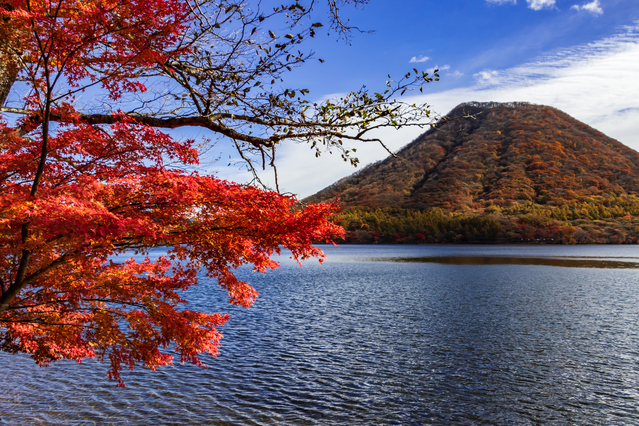 【紅葉】榛名湖 関東 紅葉人気スポット