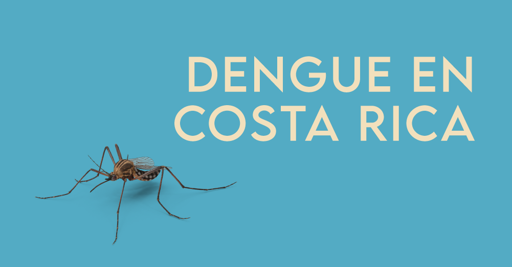 ¿cuál Es La Provincia Con Más Casos De Dengue En Costa Rica