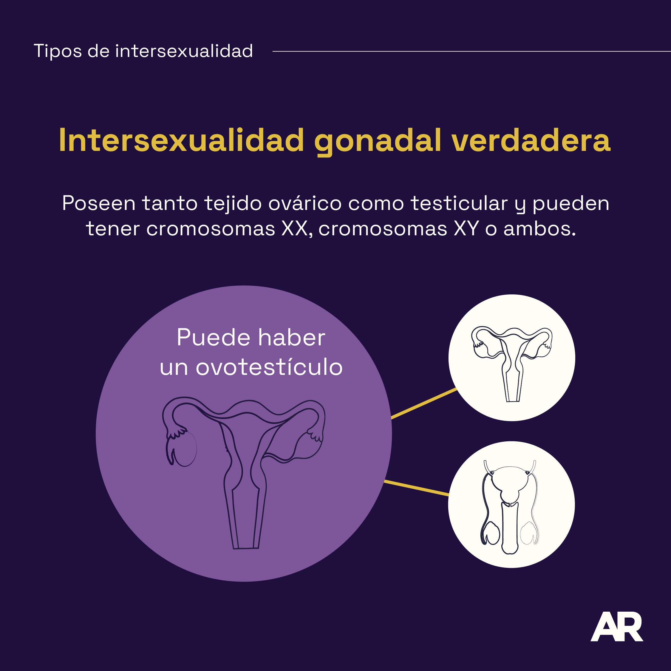 La Intersexualidad ¿cómo Se Ve