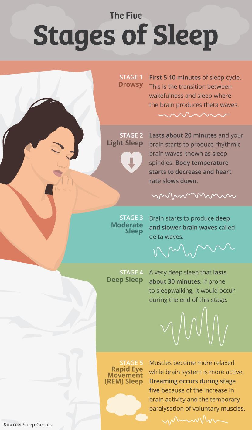 Get To Know The Different Stages Of Sleep Tracye Carter