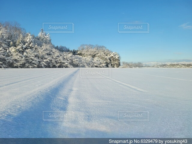 冬の晴れた日の雪道の写真・画像素材 6329479 Snapmart（スナップマート）