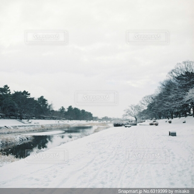 冬の晴れた日の冬景色の写真・画像素材 6319399 Snapmart（スナップマート）