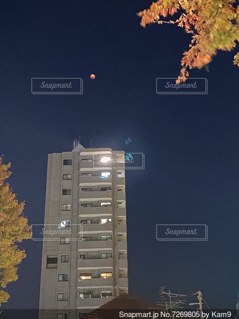 ライトアップされた夜の街の写真・画像素材 7269805 Snapmart（スナップマート）