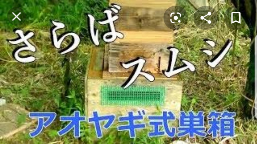 アオヤギ式巣箱の構造についてと寒さ対策？ ミツバチqanda