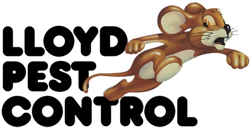 10 Best Pest Control Companies In Yorba Linda Ca Todays Homeowner