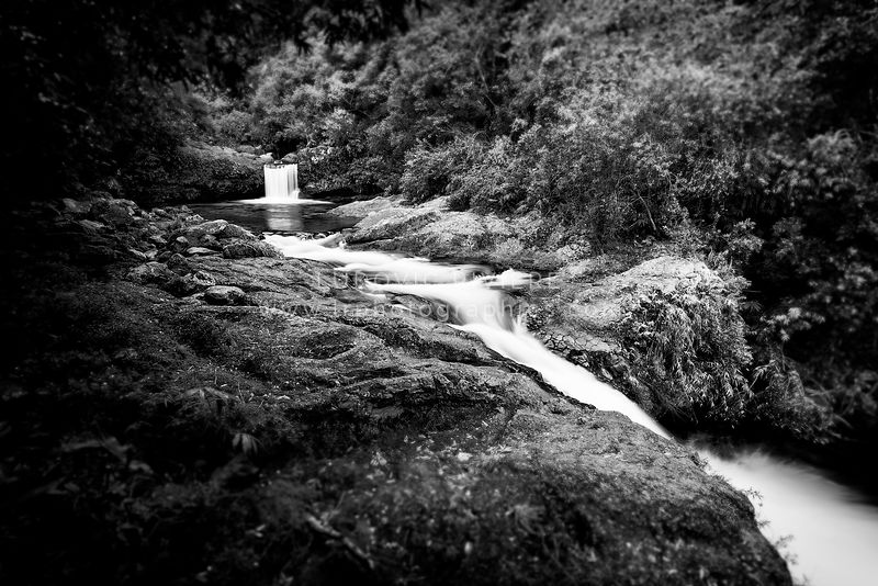 Photo Rivière Langevin En Noir Et Blanc Lr Photographies