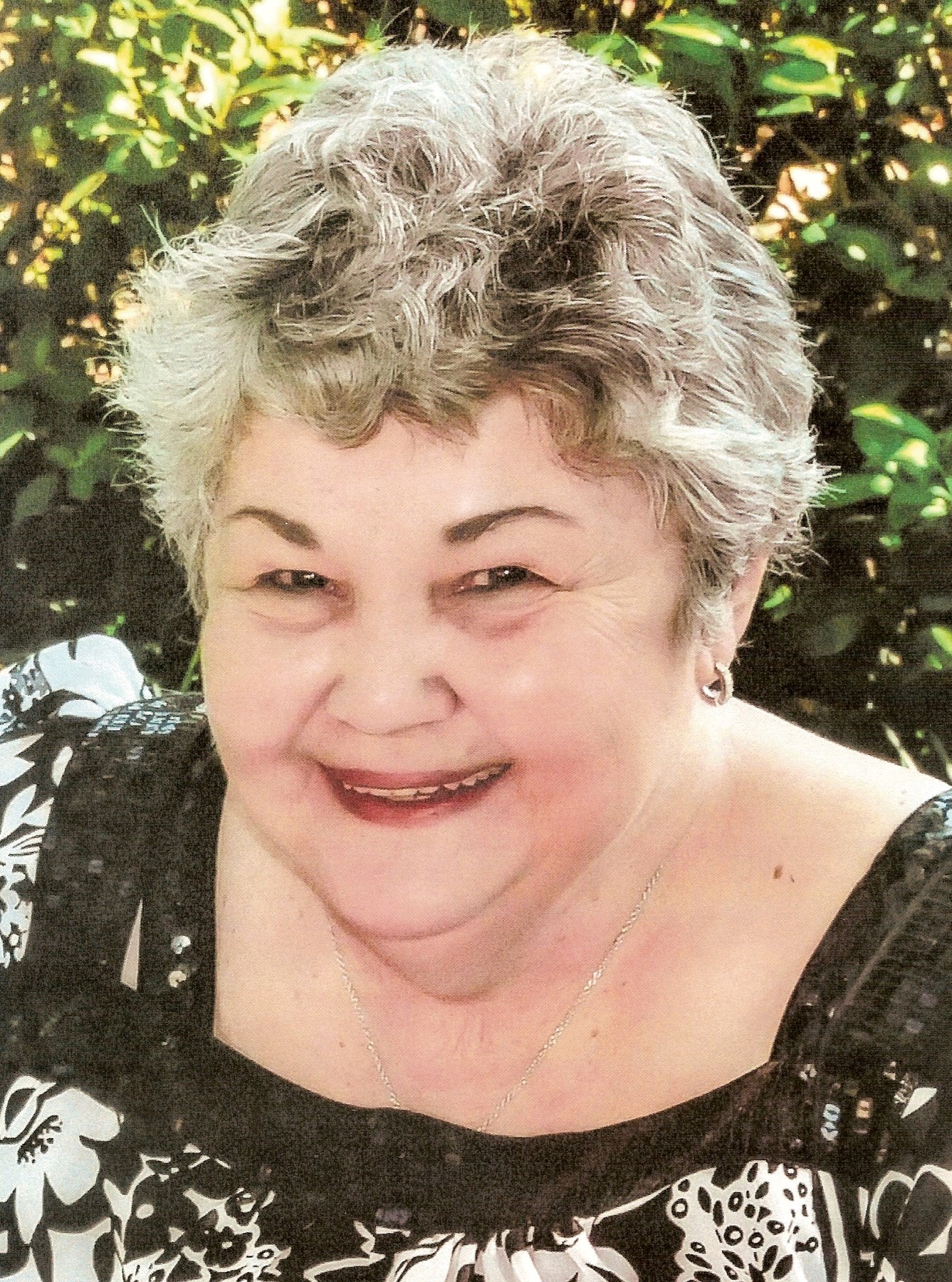 Gloria Buonocore Obituary Port Dickinson Ny