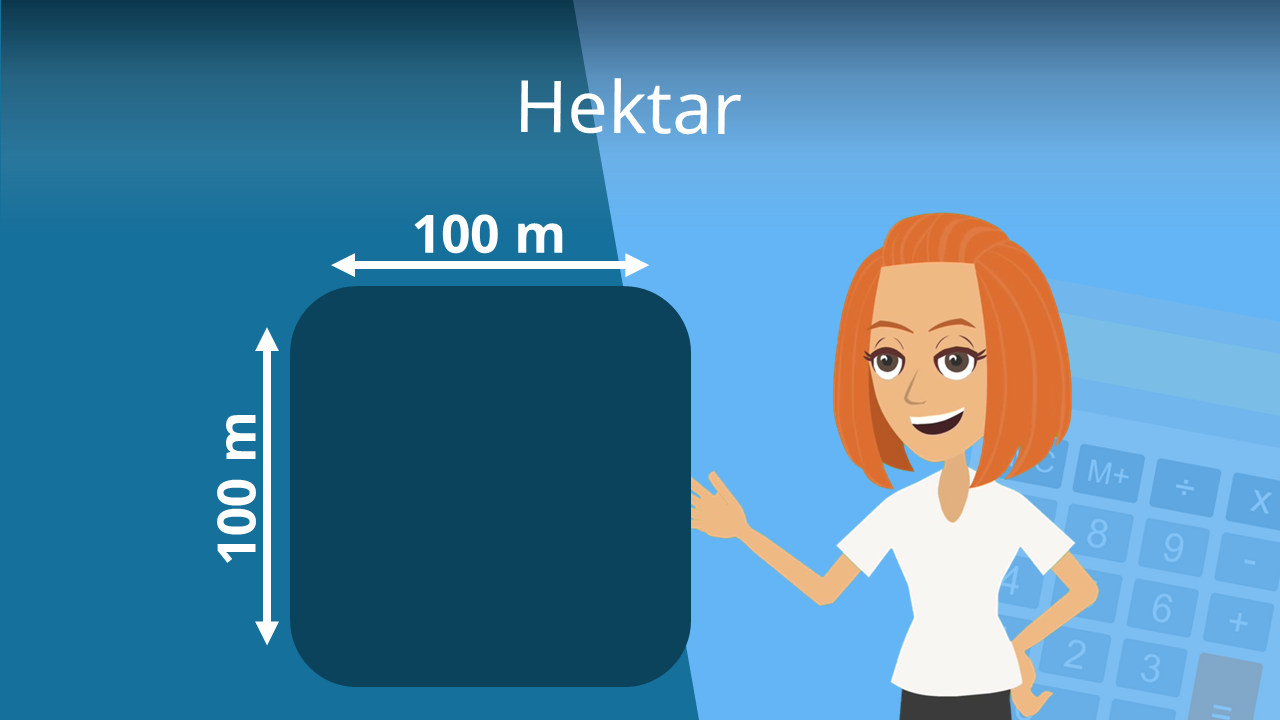 1 Hektar • Wie Groß Ist Ein Hektar Beispiele Zum Ha · Mit Video