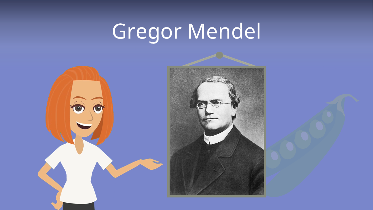 Gregor Mendel • Lebenslauf Steckbrief Mendelsche Regeln · Mit Video