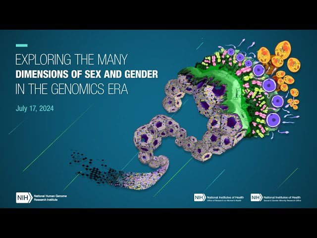 Free Video Exploring The Many Dimensions Of Sex And Gender In The