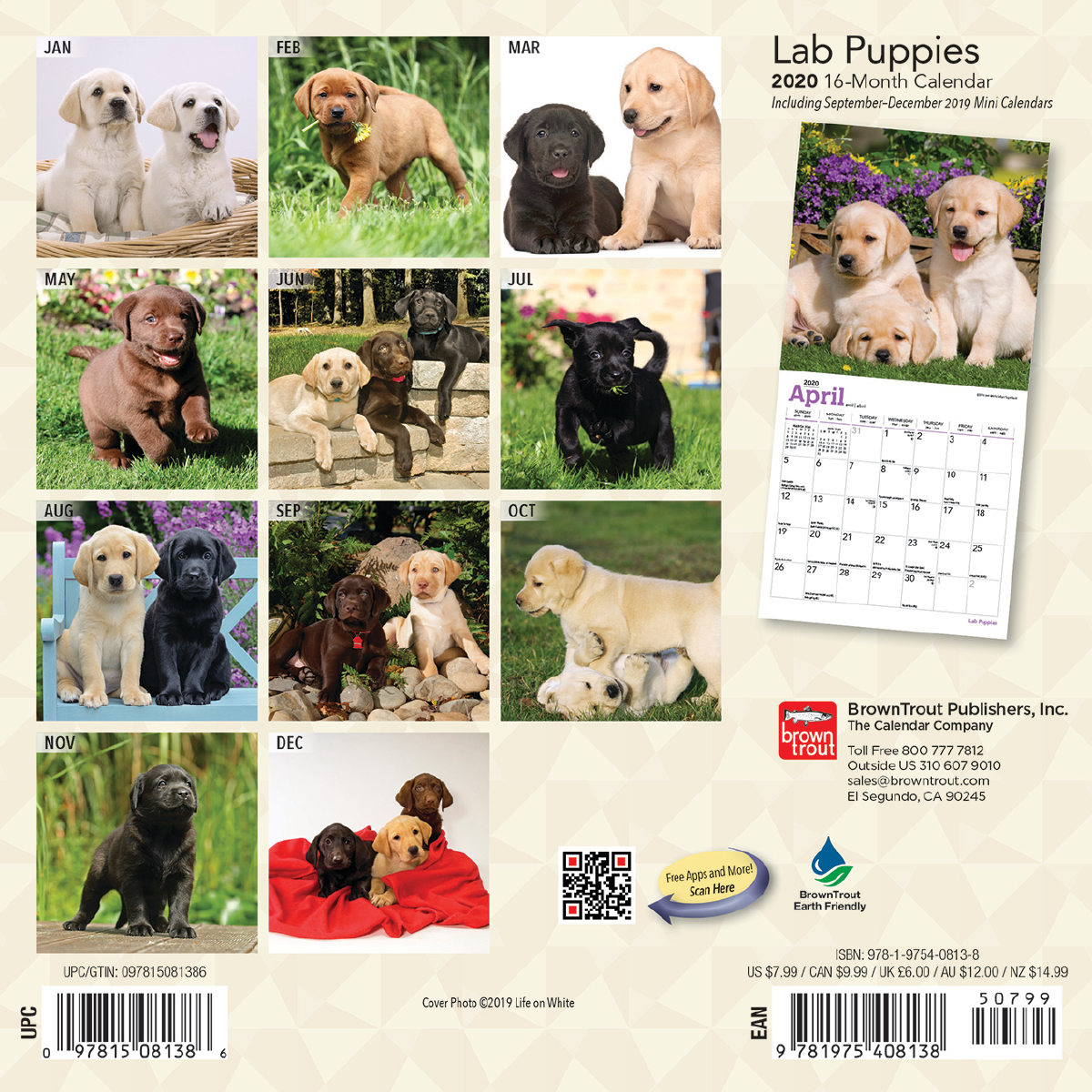 Buy Lab Puppies 2020 Mini Wall Calendar At Mighty Ape Nz