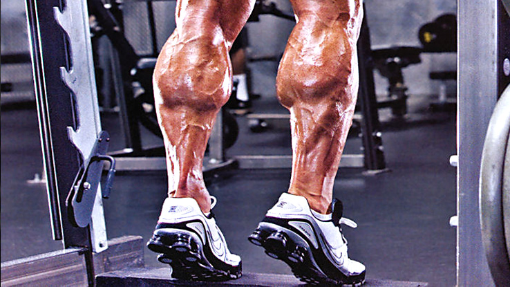 What Exercises Make Calves Bigger Off 55