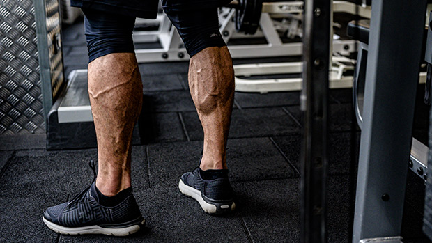 6 Rules For Guaranteed Bigger Calves