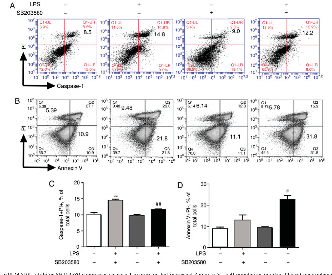 Pdf Regulation Of The Nlrp3 Inflammasome And Macrophage Pyroptosis By