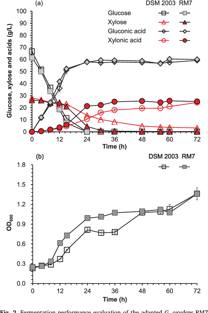 Figure 1 From Adaptive Evolution Of Gluconobacter Oxydans Accelerates