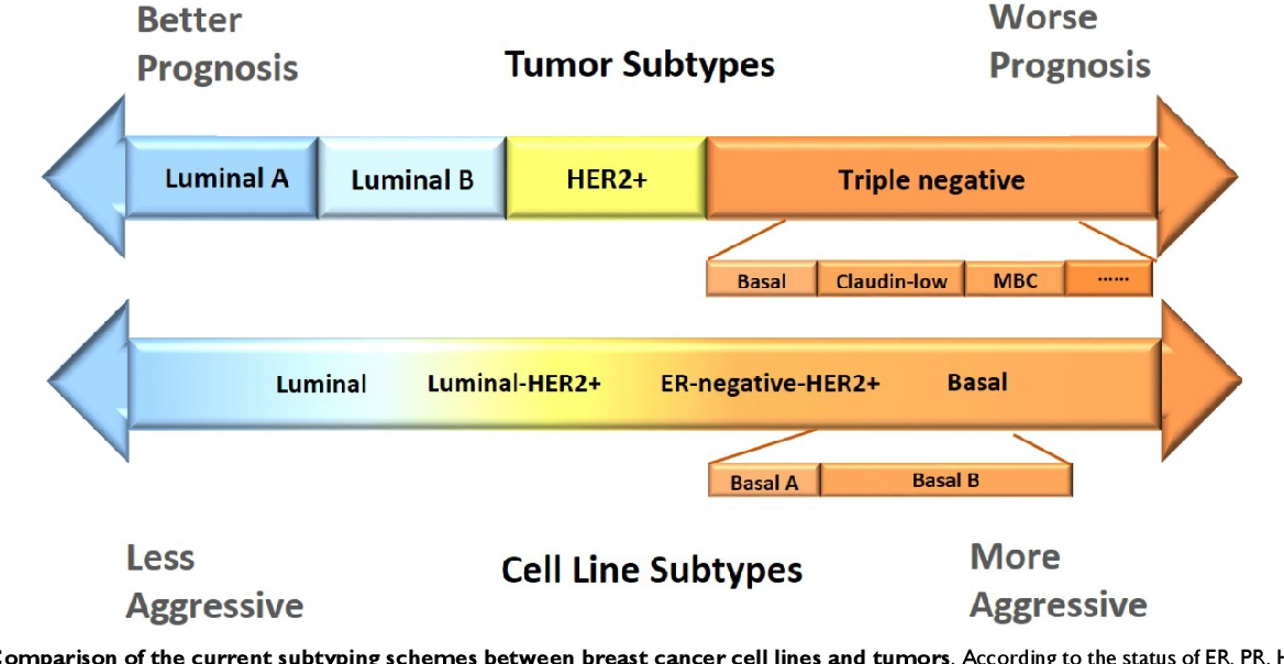 Pdf Breast Cancer Cell Line Classification And Its Relevance With