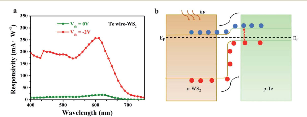 Figure 1 From A High Performance Self Powered Photodetector Based On A