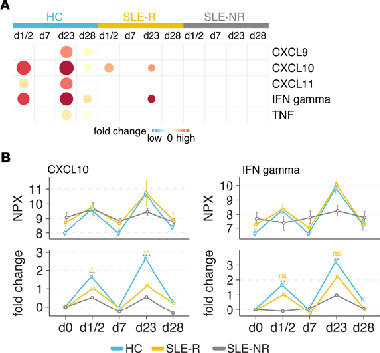 Figure 1 From Impaired Innate And Adaptive Immune Responses To Bnt162b2