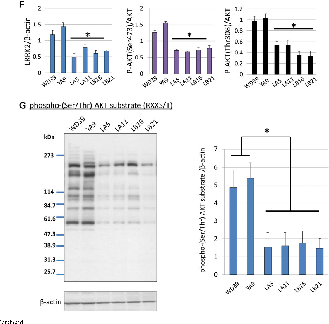 Figure 2 From I2020t Mutant Lrrk2 Ipsc Derived Neurons In The