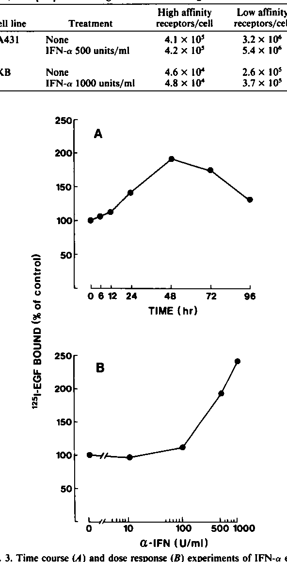 Figure 2 From Upregulation Of Epidermal Growth Factor Receptor Induced