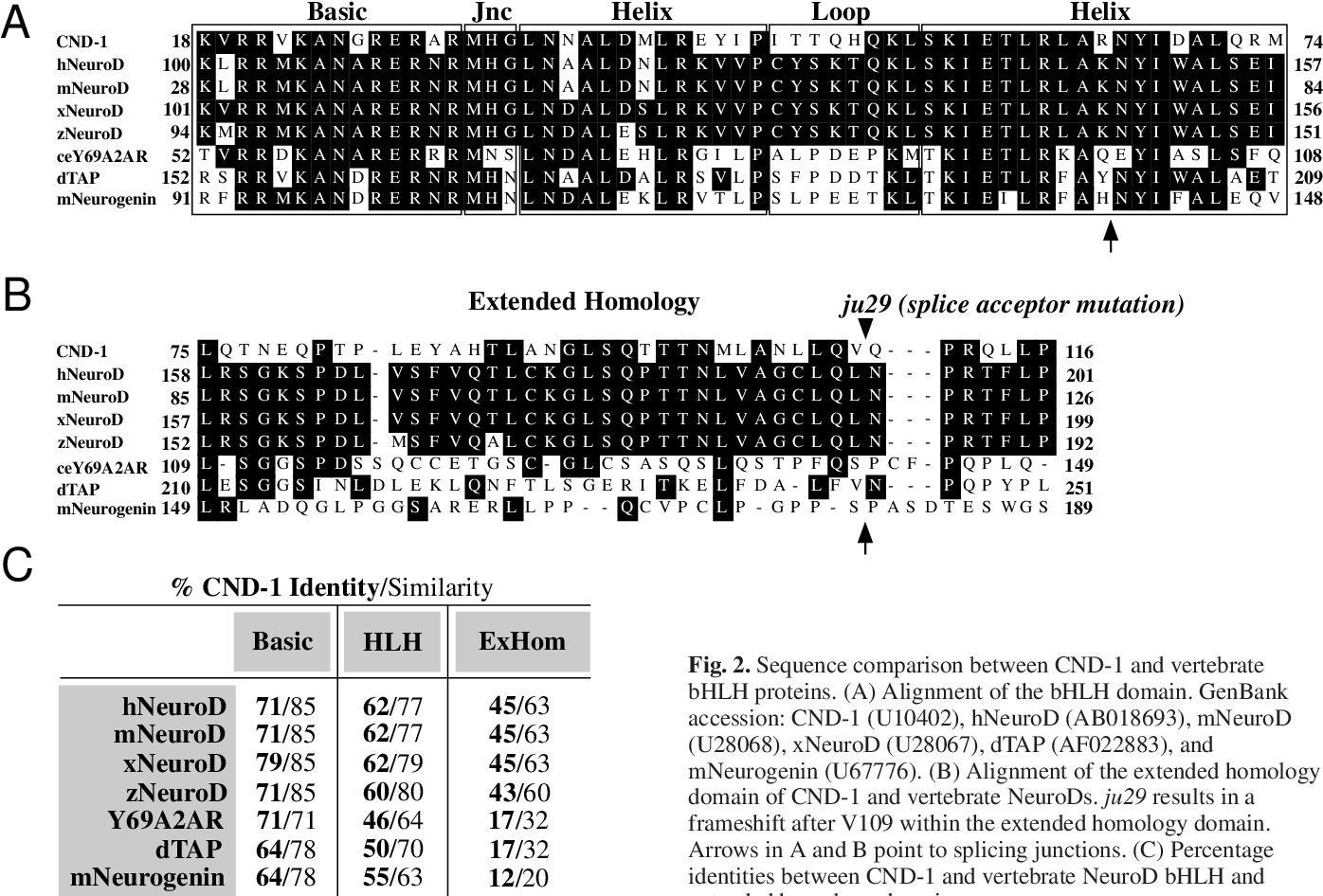 Figure 1 From The Basic Helix Loop Helix Bhlh Proteins Define A Large