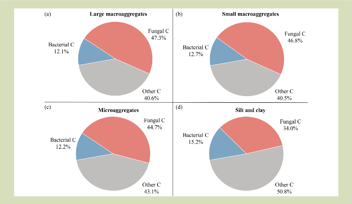 Pdf Microbial Necromass Within Aggregates Stabilizes Physically