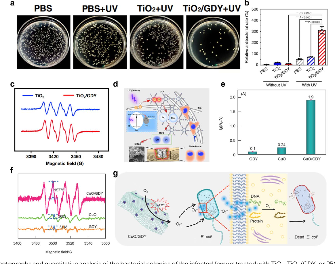 Figure 2 From Graphdiynemetal Oxide Hybrid Materials For Efficient