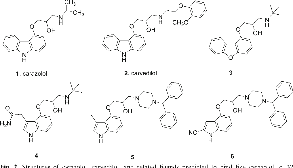 Figure 2 From Recent Advances In Structure Based Virtual Screening Of G