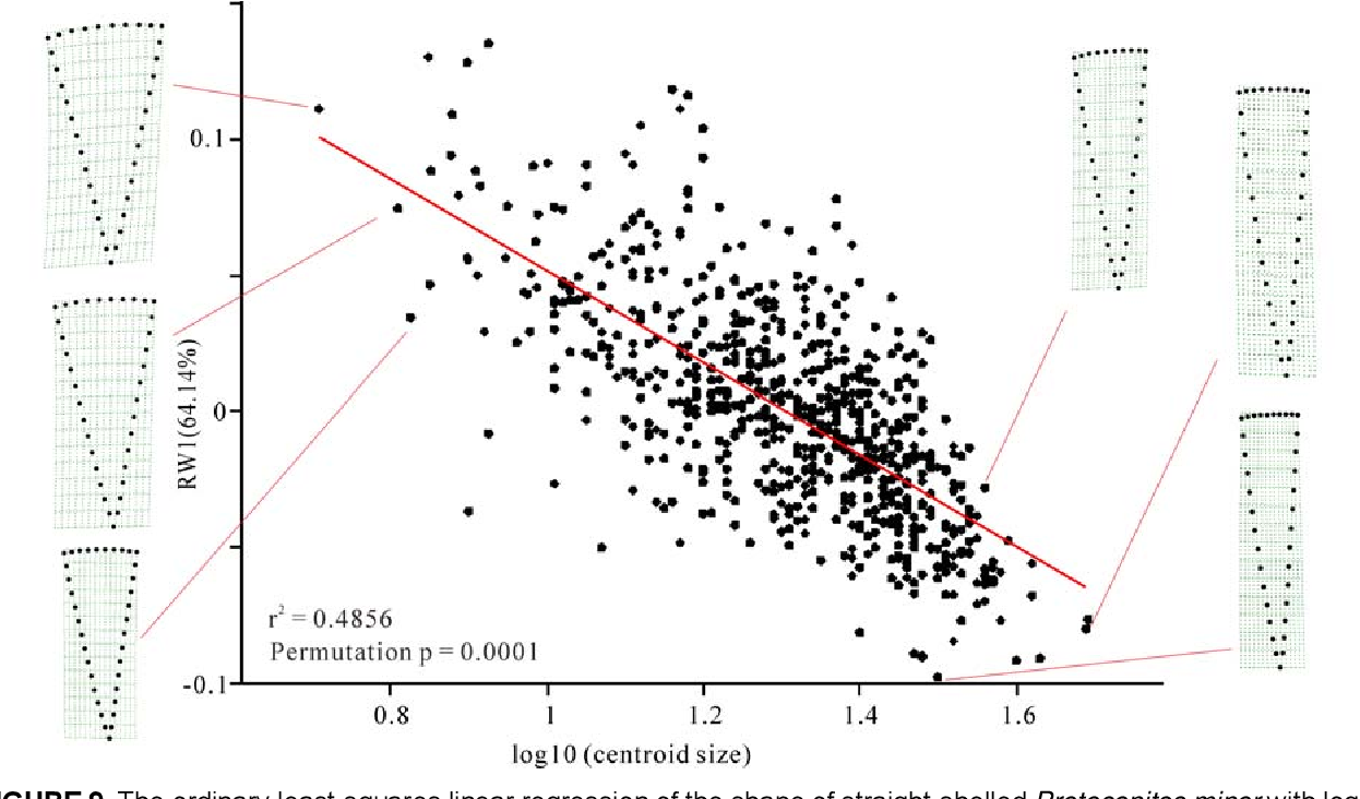 Figure 1 From Geometric Morphometric Analysis Of Protoconites Minor