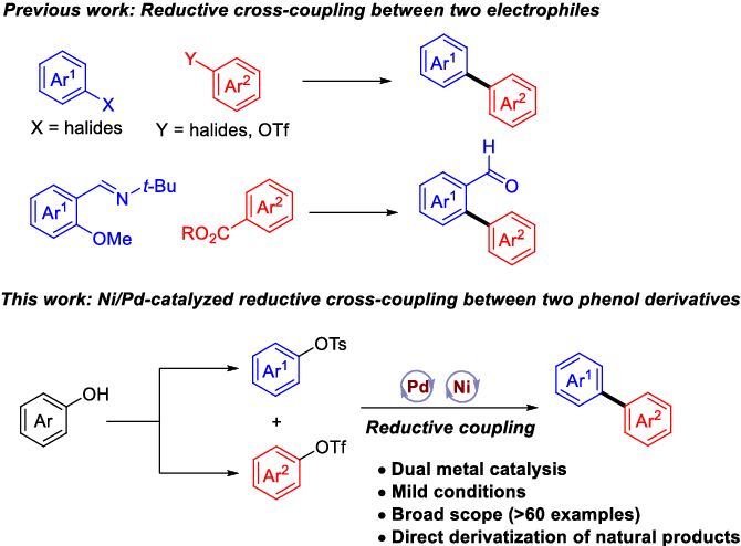 Figure 1 From Dual Nickel Palladium Catalyzed Reductive Cross Coupling