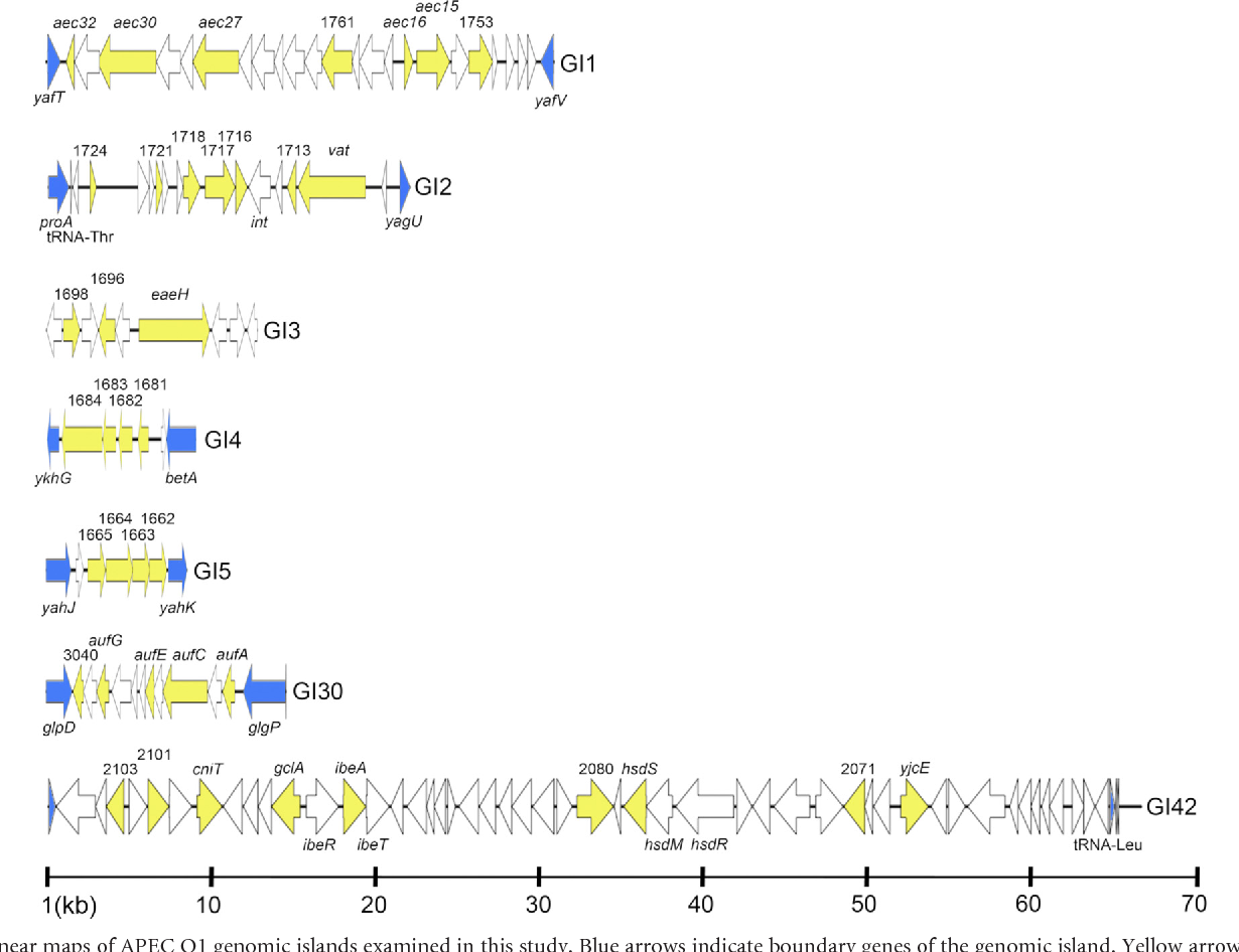 Table 1 From Subhashinie Coli Isolates Among Extraintestinal And