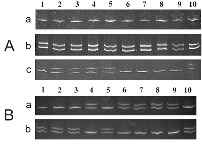 Figure 1 From Molecular Identification Of Natural Hybrids Between